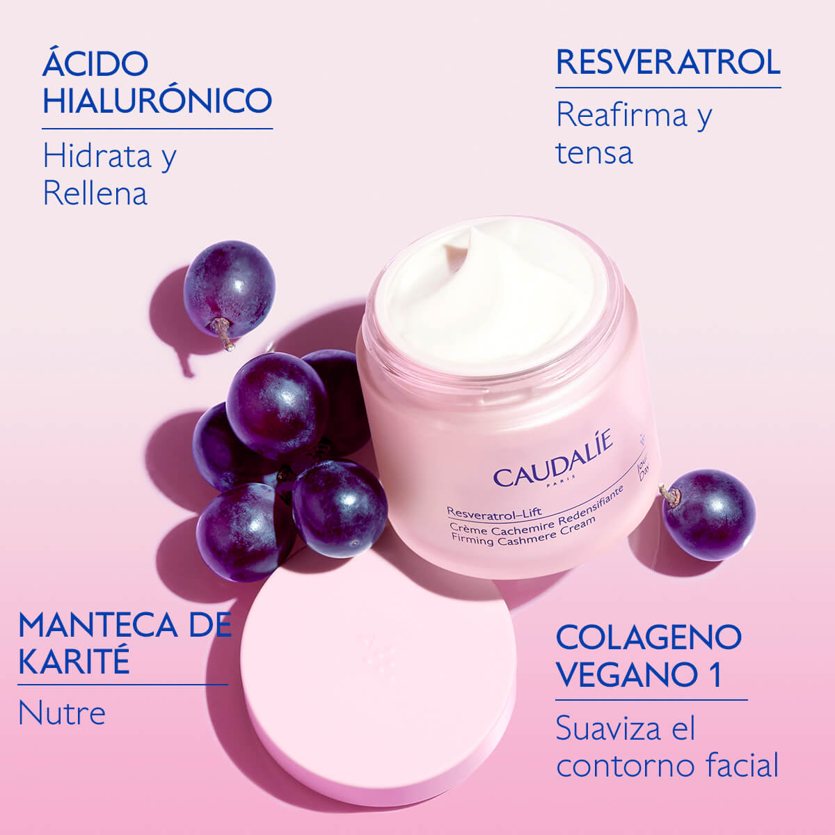 RESVERATROL-LIFT CREMA CACHEMIR REAFIRMANTE (CREMA REAFIRMANTE ...