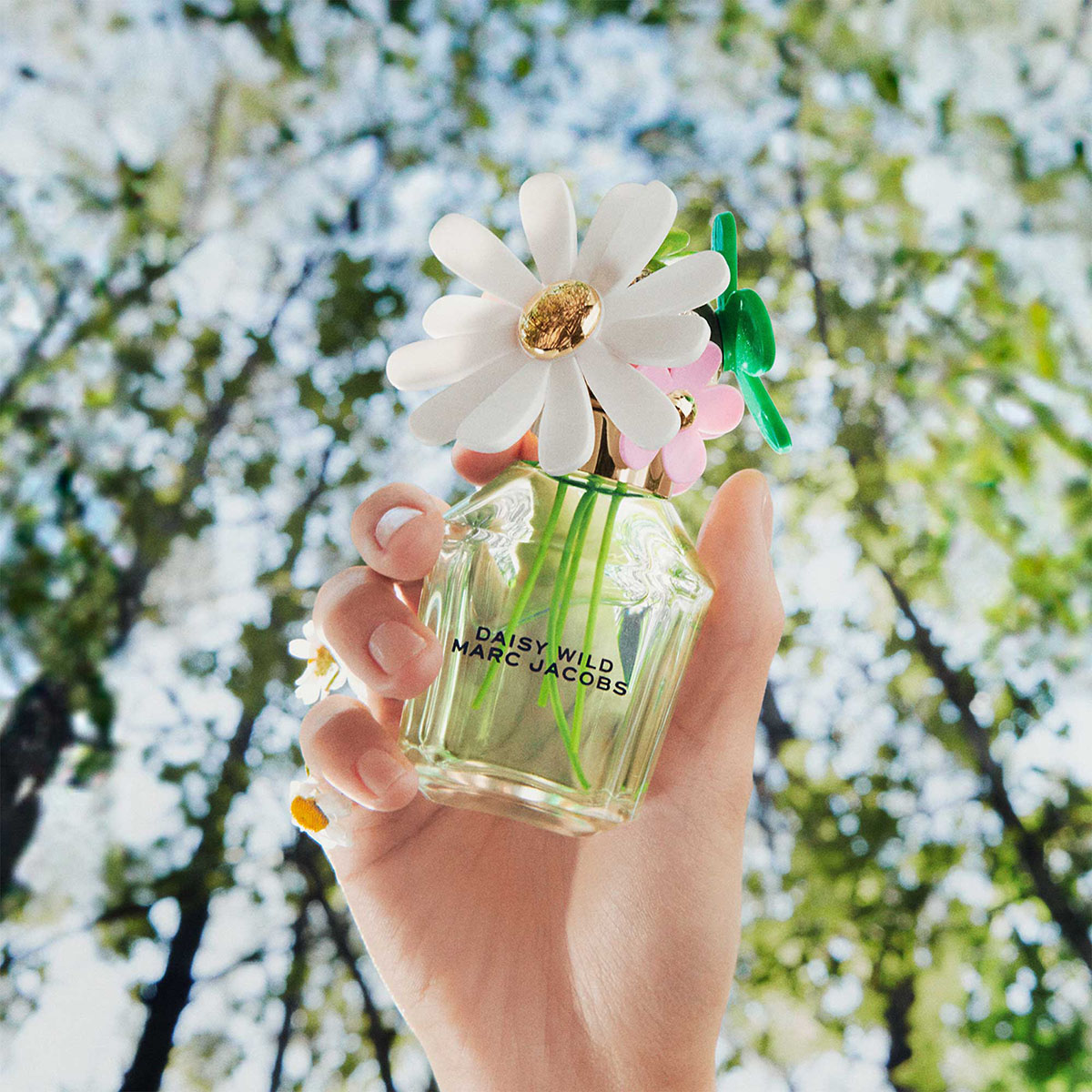 MARC JACOBS DAISY WILD EAU DE PARFUM > Sephora MX