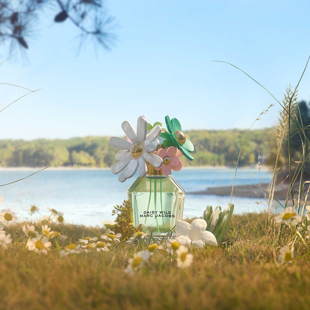 MARC JACOBS DAISY WILD EAU DE PARFUM > Sephora MX